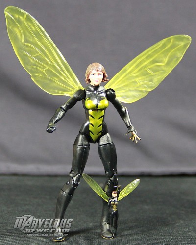 The Wasp – Near Complete Set