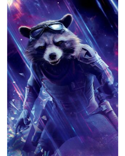 Rocket Raccoon (Multiverse) – Near Complete Set