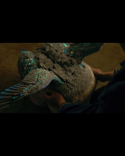 Morris (MCU) – Near Complete Set