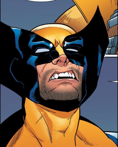 Wolverine (The Animated Series) – Near Complete Set