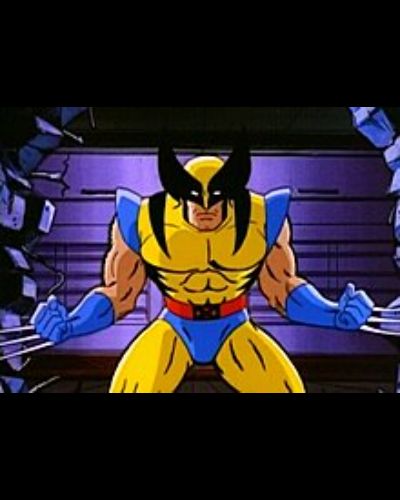 Wolverine (The Animated Series) – Near Complete Set