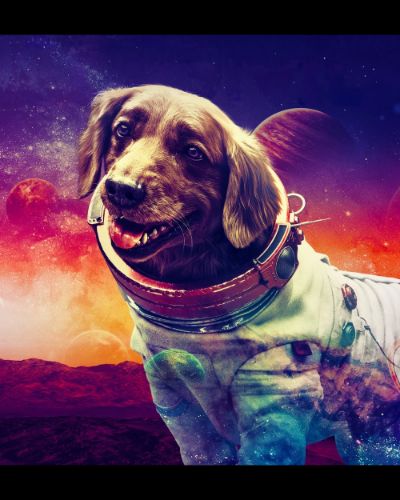 Cosmo (MCU) – Near Complete Set