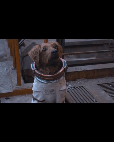 Cosmo (MCU) – Near Complete Set
