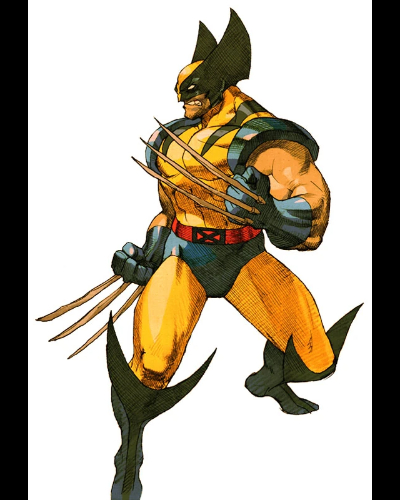 Wolverine (Marvel Vs. Capcom) – Near Complete Set